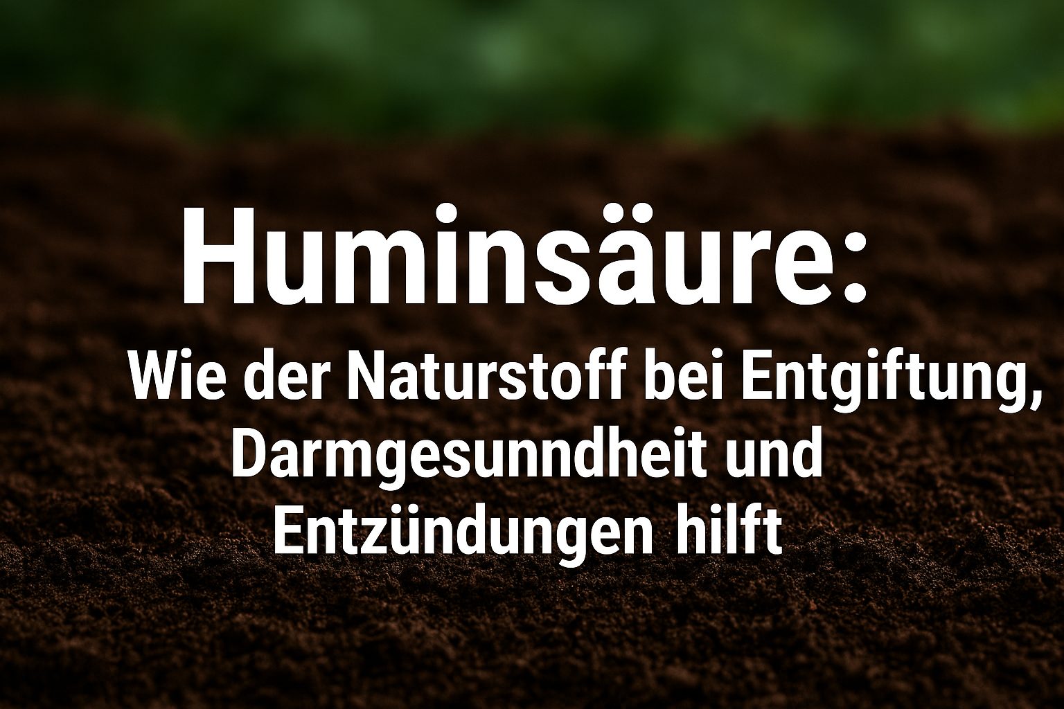 Huminsäuren erklärt: Wirkung, Anwendung und Studien im Überblick